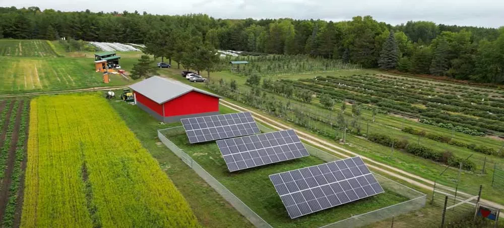 A solar bulk buy + grant makes a farmer "berry" happy | Clean Energy ...